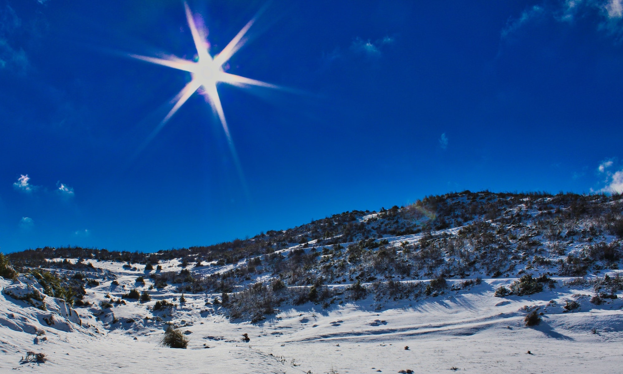 Winter Solstice ~ Starhawk