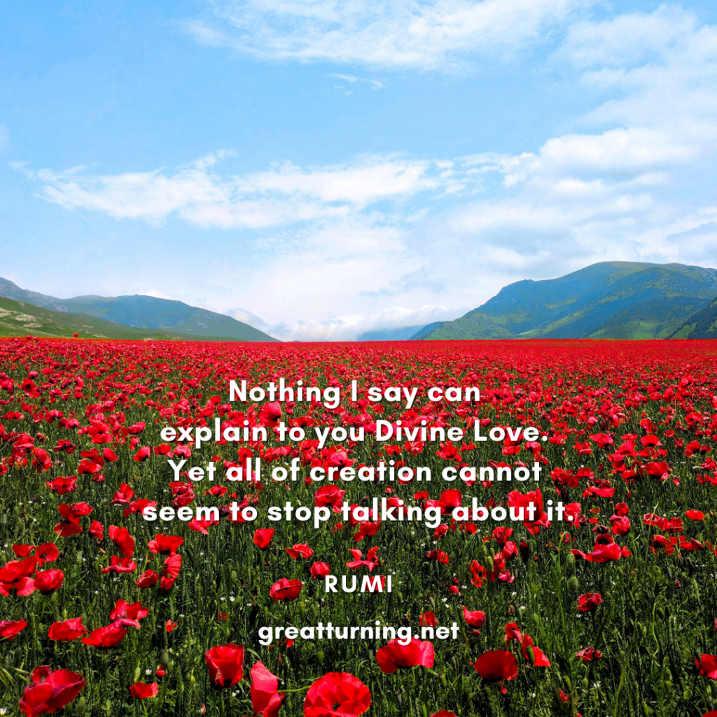 Divine Love ~ Rumi